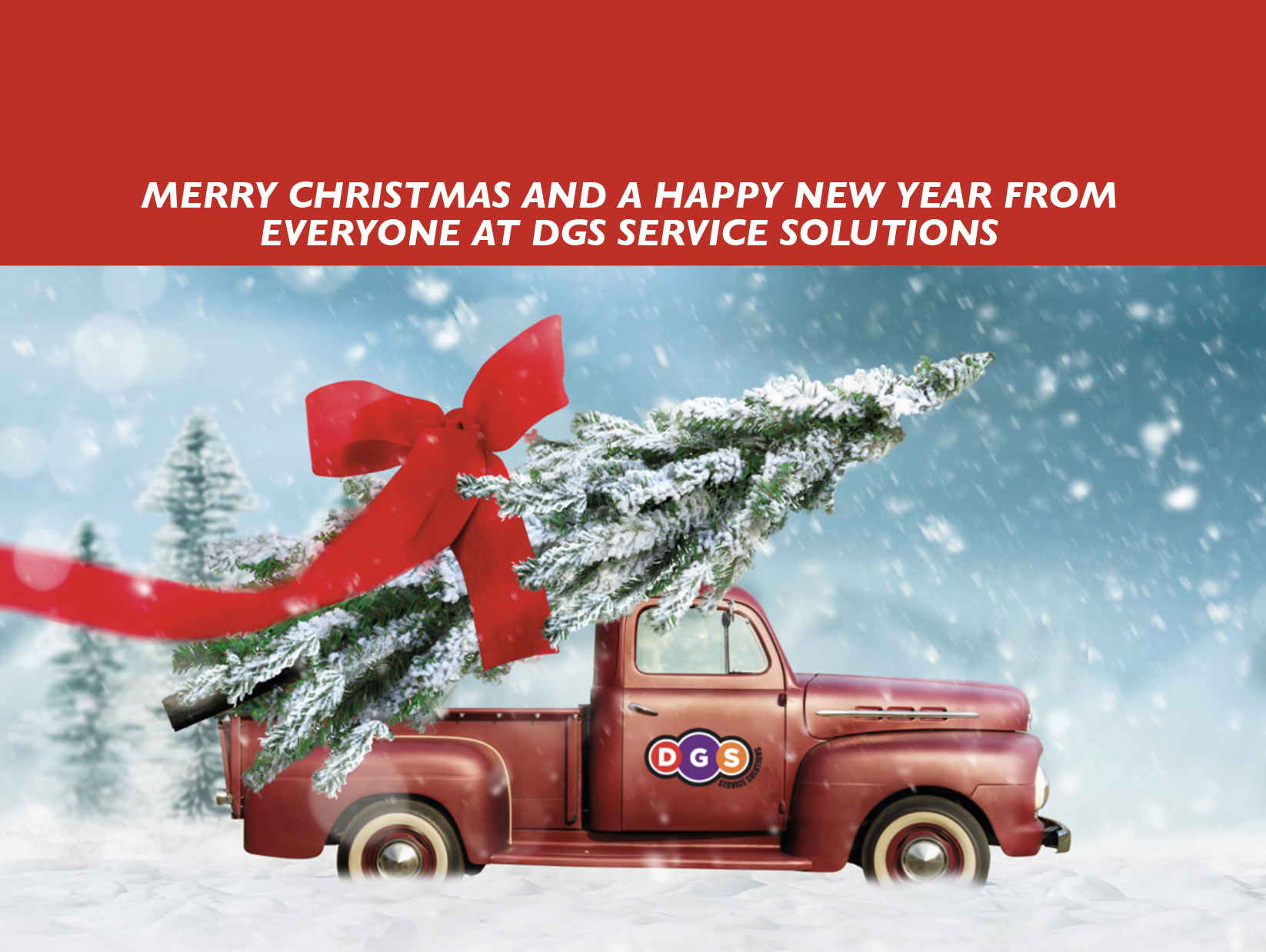 DGS Service Solutions – Service Solutions